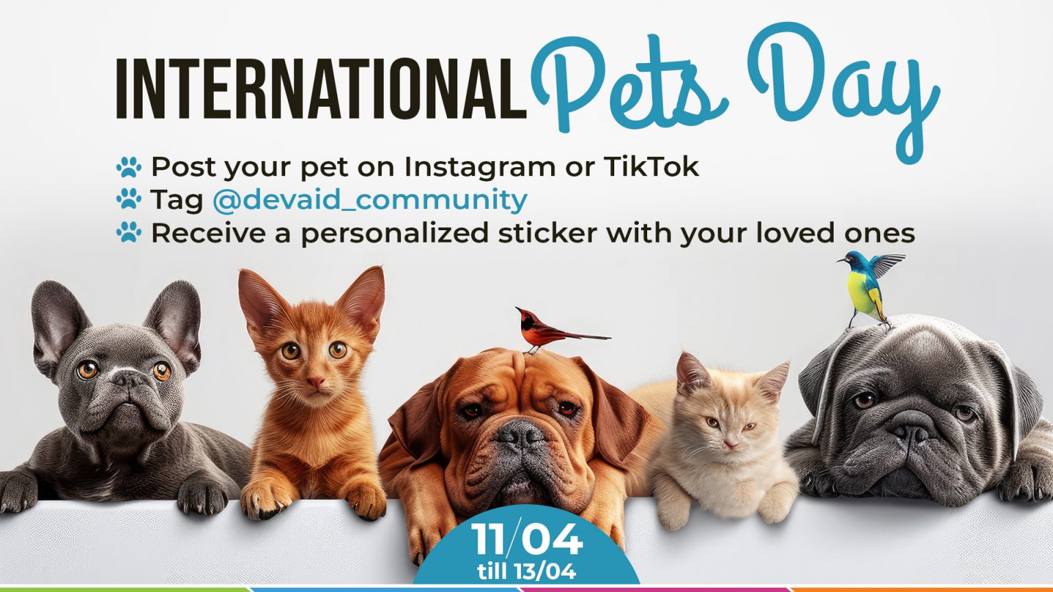 Homepage-DevAid - DevelopmentAid Careers